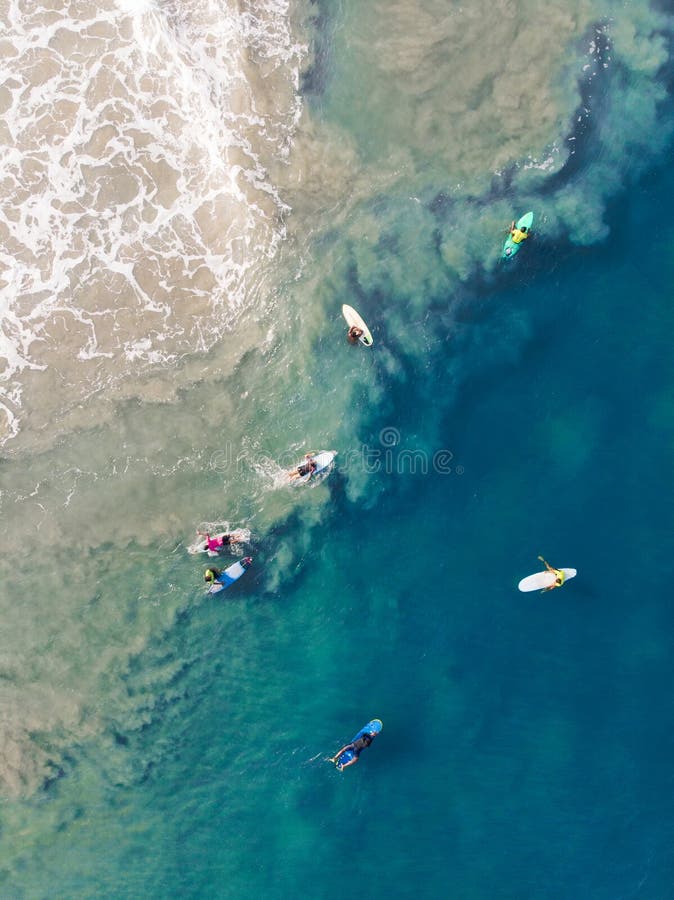 Top View Shot of People with Surfboards Swimming in Varkala Beach ...