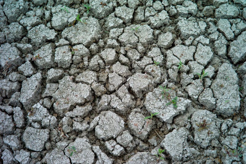 Top View Shot of the Soil Drought Cracked Landscape Stock Photo - Image ...