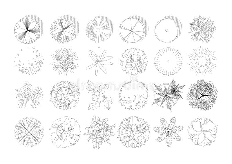 Top View And Side View Set Of Graphics Trees Elements Outline Symbol For Architecture And