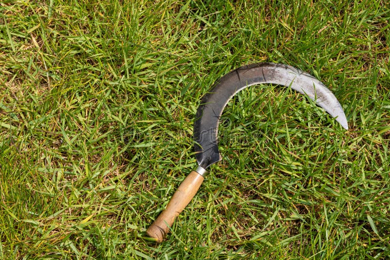 Top View of a Silver Sickle Tool on the Grass Stock Photo - Image of ...