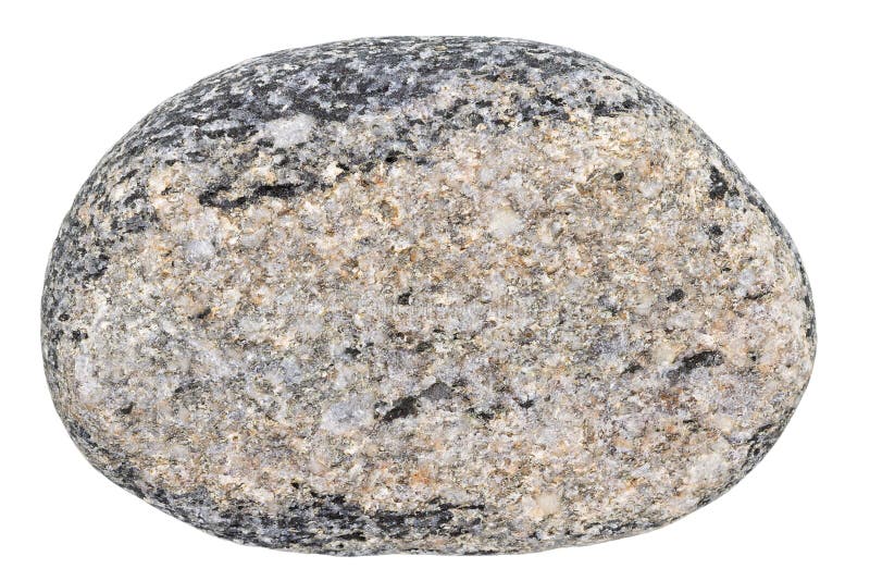 Black Pebble Rock with Green Plant and White Wall for Decoration in ...