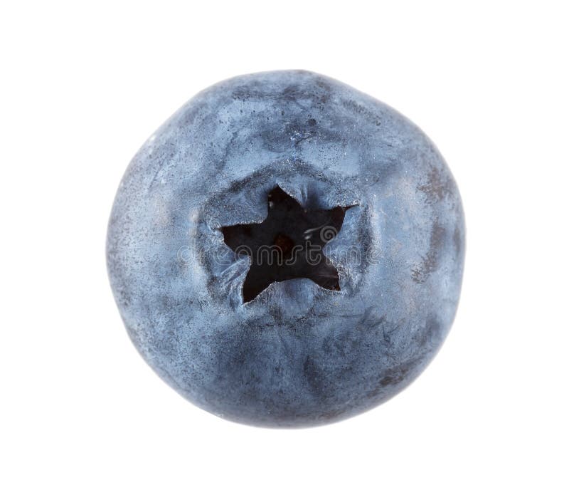 Top View of a Single Blueberry Against a White Background Stock Photo ...