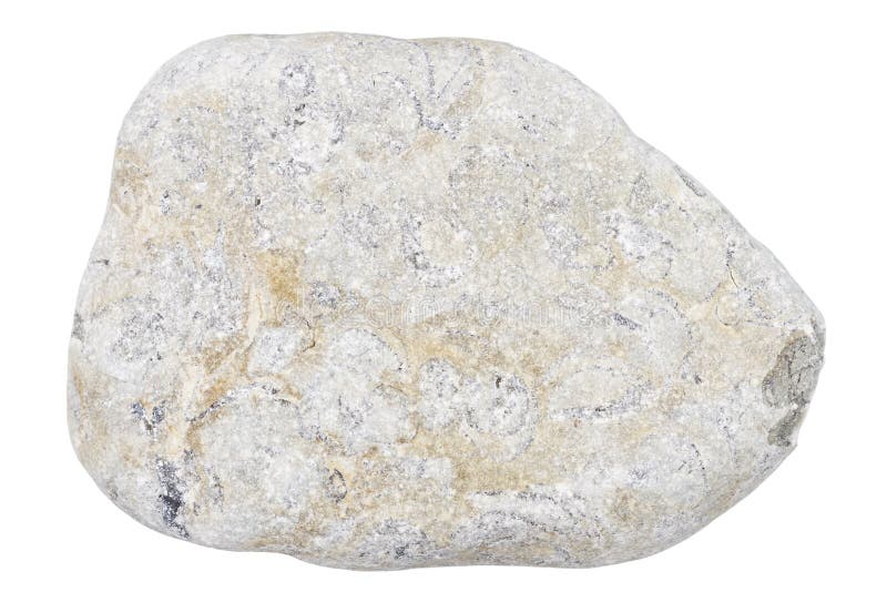 Top View of Single Gray Pebble Stock Photo - Image of rough, oval ...