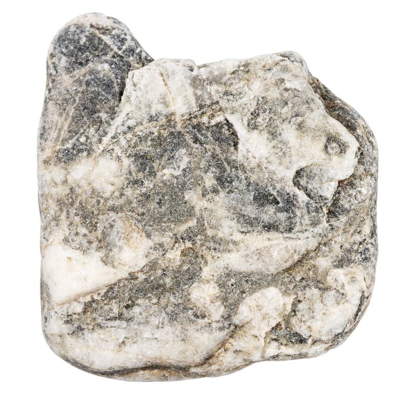 Top View of Single Brown Pebble Stock Image - Image of hard, fossil ...