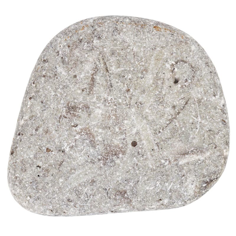 Top View of Single Gray Pebble Stock Image - Image of fossil, gray ...