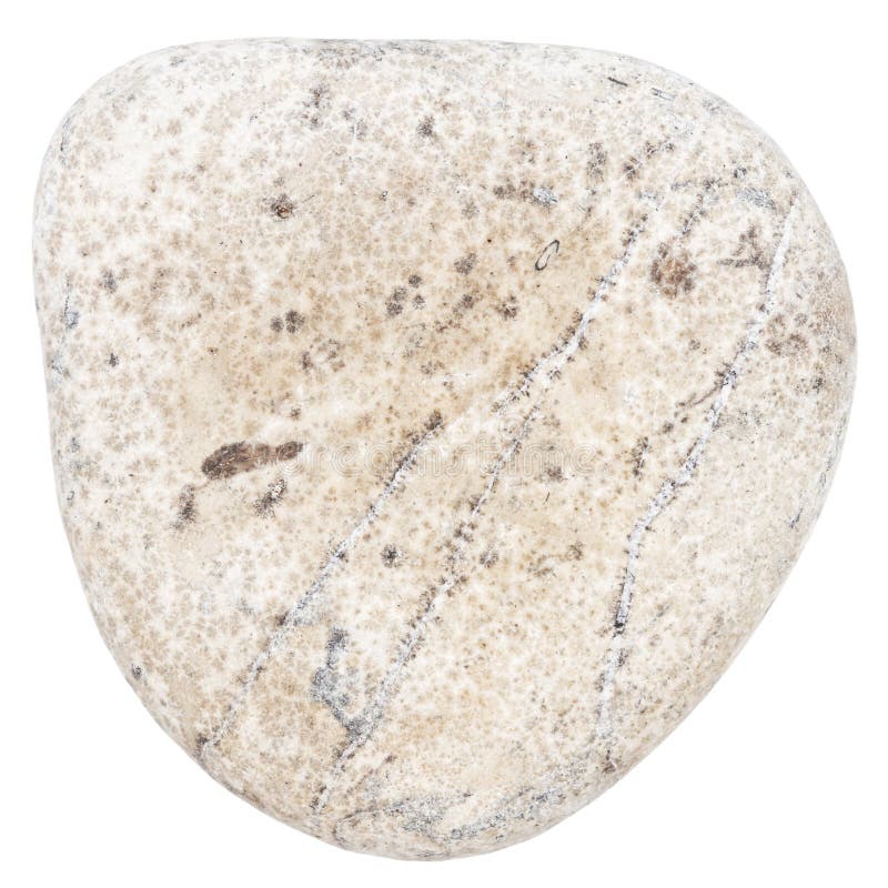 Top View of Single Gray Pebble Stock Photo - Image of gravel, white ...