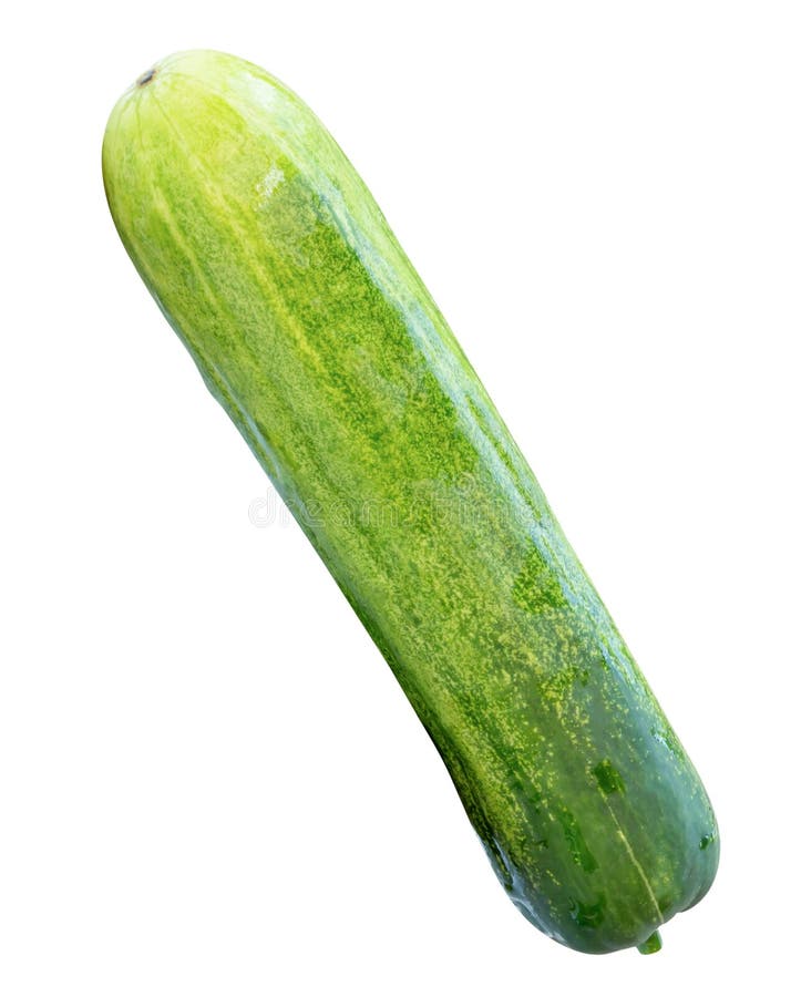 Top View Single Long Green Cucumber Isolated White Background Clipping ...