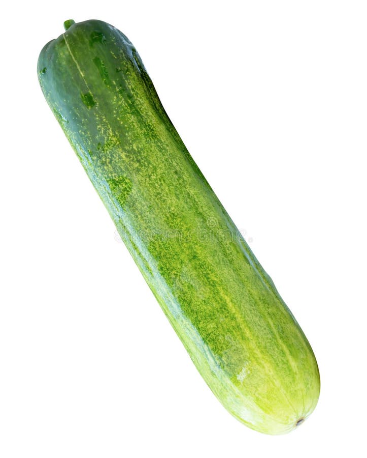 Top View of Single Long Green Cucumber Isolated on White Background ...
