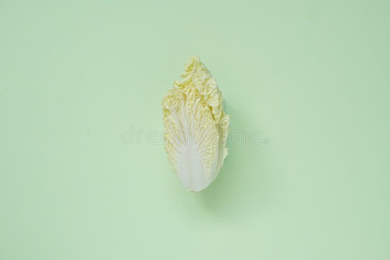Top View of Single Mini Napa Cabbage on Light Green Background Stock ...
