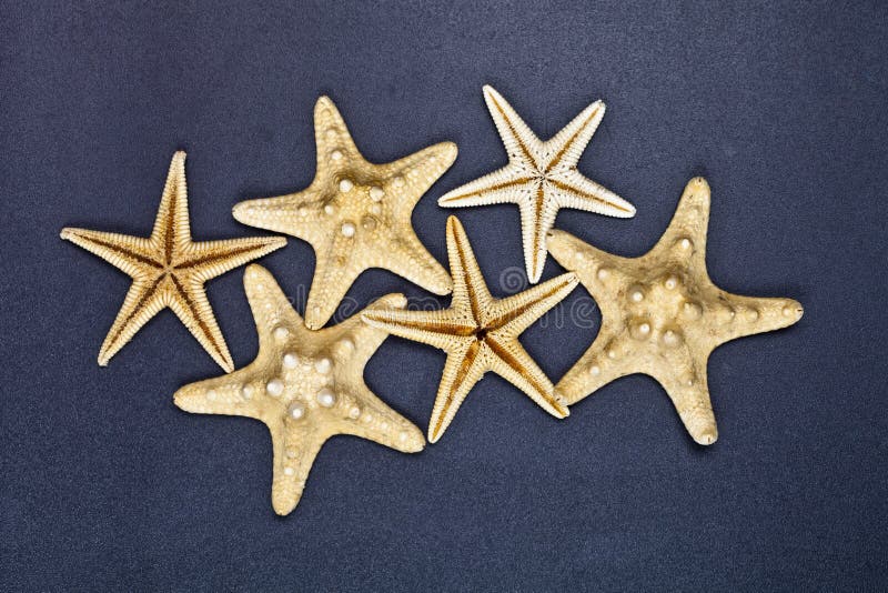 965 Top View Starfish Underwater Stock Photos - Free & Royalty-Free ...