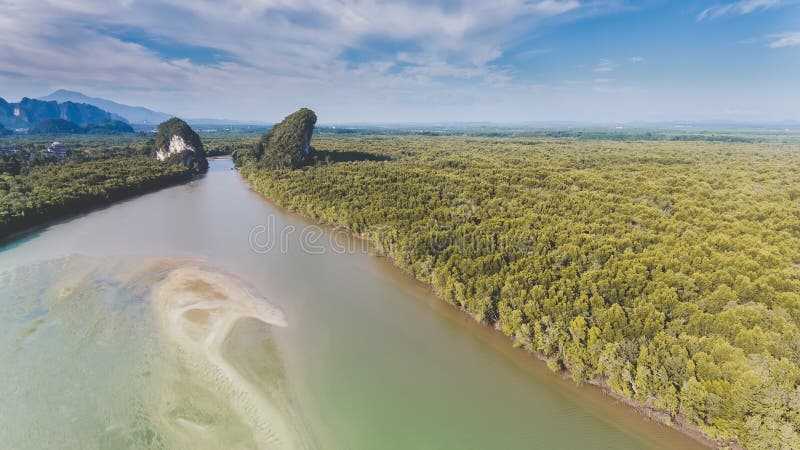 Top View from Sky of Long River and Mangroves Forrest Stock Image ...