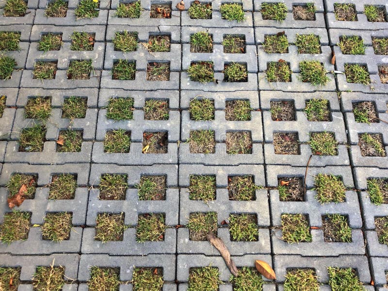 Top View of Small Green Plants in the Concrete Block at Walkway Stock ...