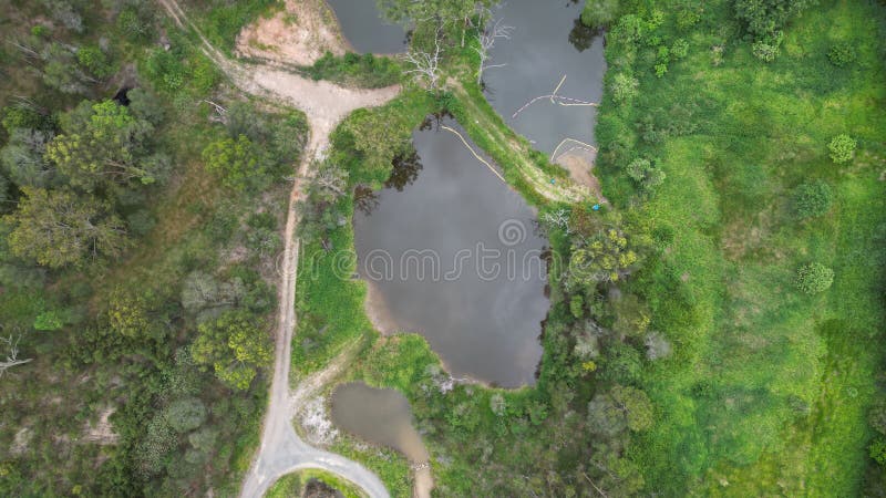 Top View of a Small Lake in the Forest in Brisbane, Australia Stock ...