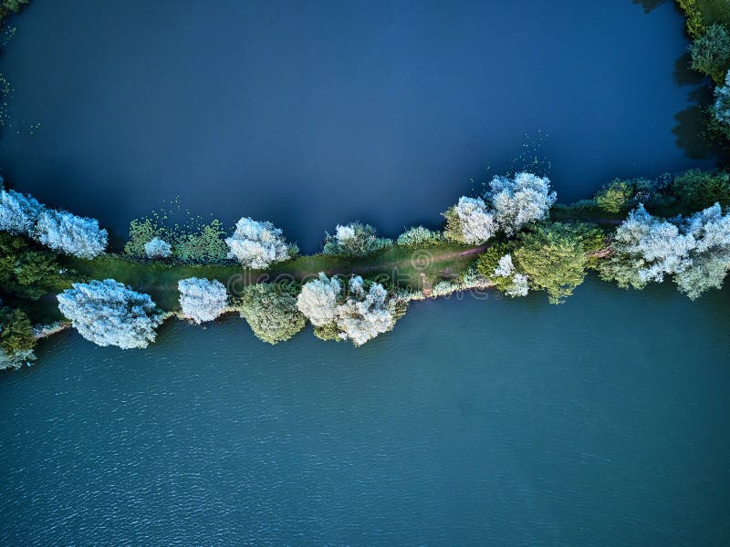 Top View of a Small Lake and Green Trees Around with a Small Path or ...