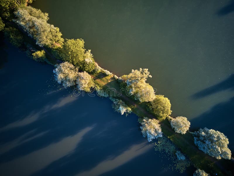 Top View of a Small Lake and Green Trees Around with a Small Path or ...