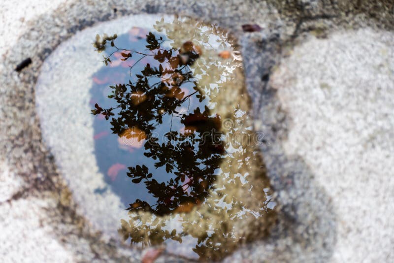 Top view of a small puddle stock image. Image of closeup - 265280307