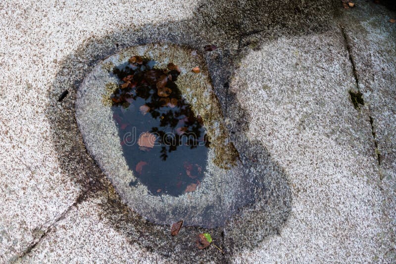 Top view of a small puddle stock image. Image of orange - 265280309