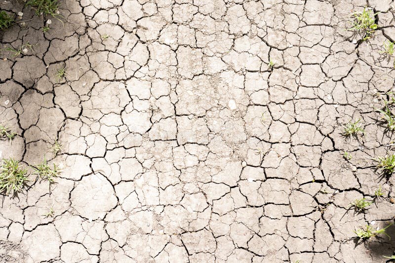 Top View of Soil Break Texture for Background Stock Image - Image of ...