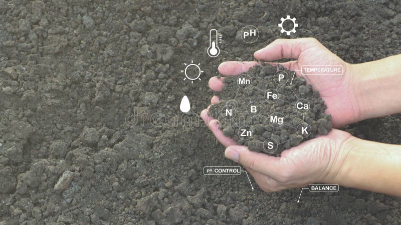 805 Soil Quality Check Stock Photos - Free & Royalty-Free Stock Photos ...