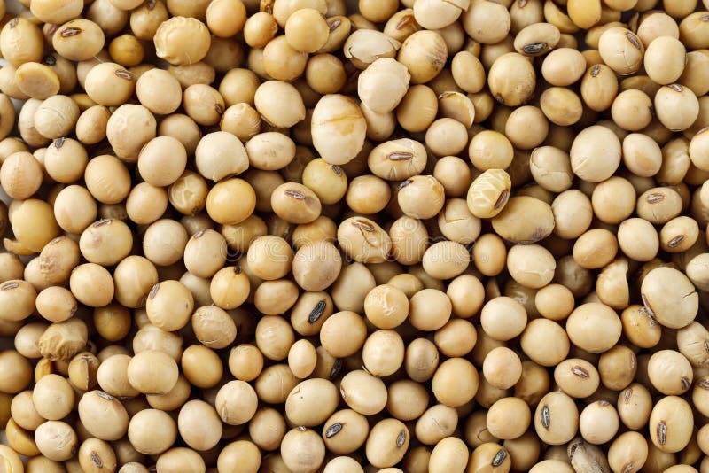 Top View Soybean Food Background Stock Image - Image of organic, seed ...