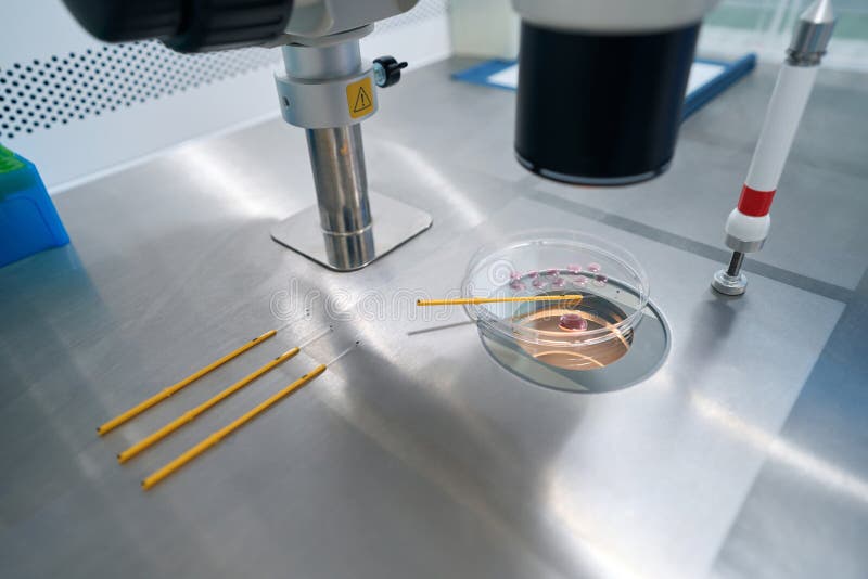 Top View of Special Glass and Straws for Embryos Stock Image - Image of ...