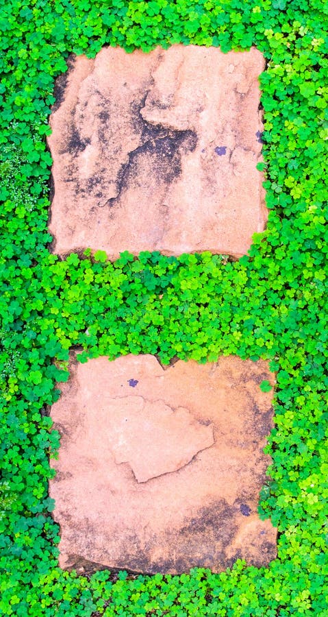 Top View of Stone Pathway. stock photo. Image of architecture - 31137644