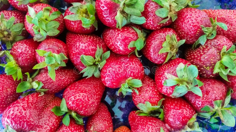 Top View of Strawberries stock photo. Image of sweet - 73651938