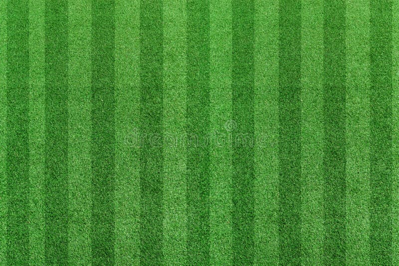 Top View Stripe Grass Soccer Field Stock Illustration Illustration Of Leisure Turf 175064773