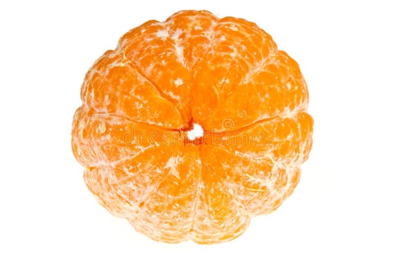 Top view of striped orange stock photo. Image of tropical - 24377598