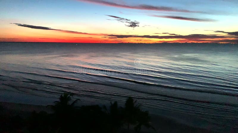 Top View Sunset Over in the Ocean with Palm Tree. Stock Footage - Video ...