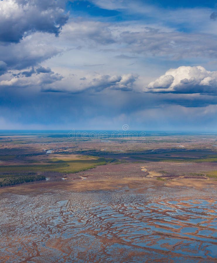 Top View of the Swamp during Spring Stock Photo - Image of beautiful ...