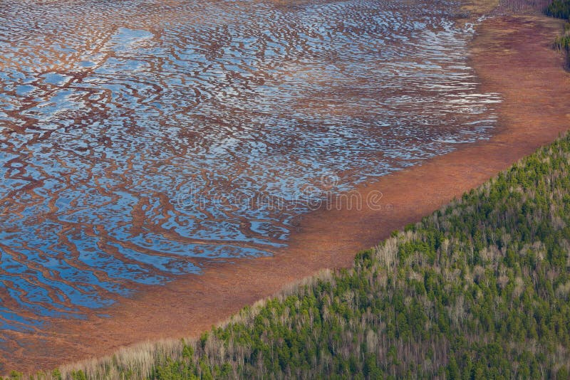 Top View of the Swamp during Spring Stock Image - Image of swamp ...
