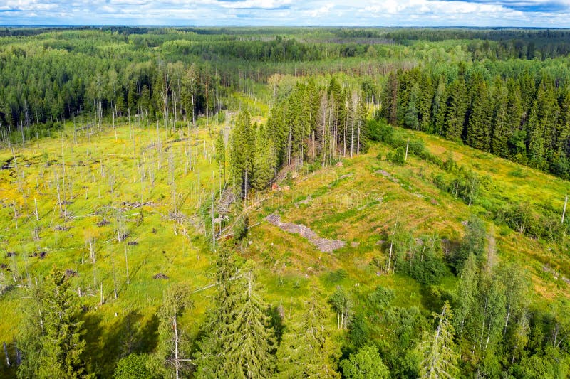 Top View of a Cliff in the Swamp Stock Image - Image of mystery ...