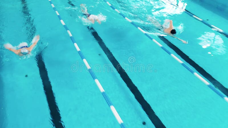 Top View of Swimmers Training Process Stock Video - Video of view ...