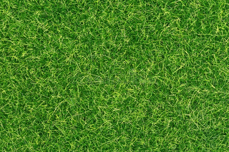 Synthetic turf grass stock image. Image of grassy, view - 250837477
