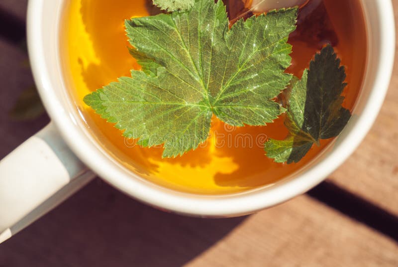 Top View of Tea with Currant Leaf in White Cup Stock Photo - Image of ...