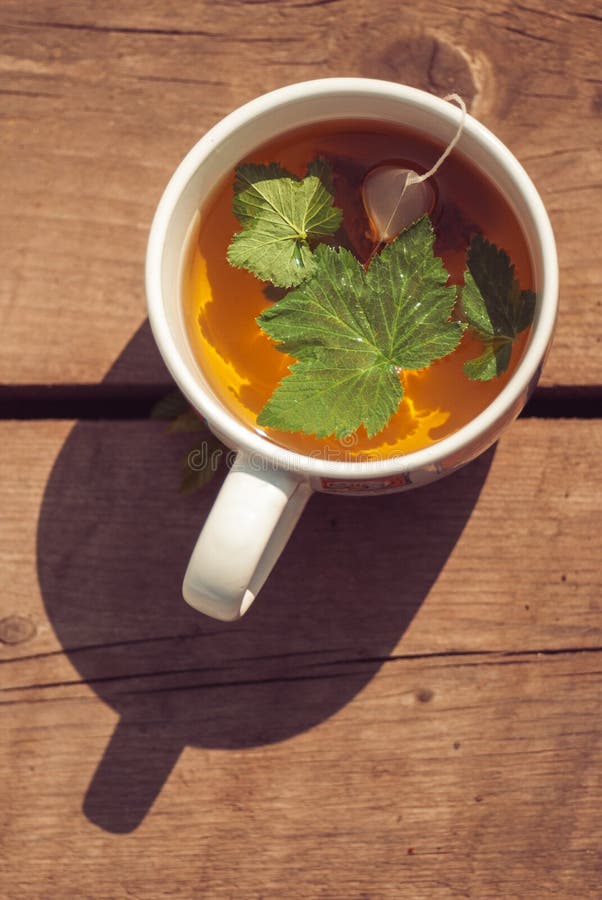 Top View of Tea with Currant Leaf in White Cup. Vertical Image Stock ...