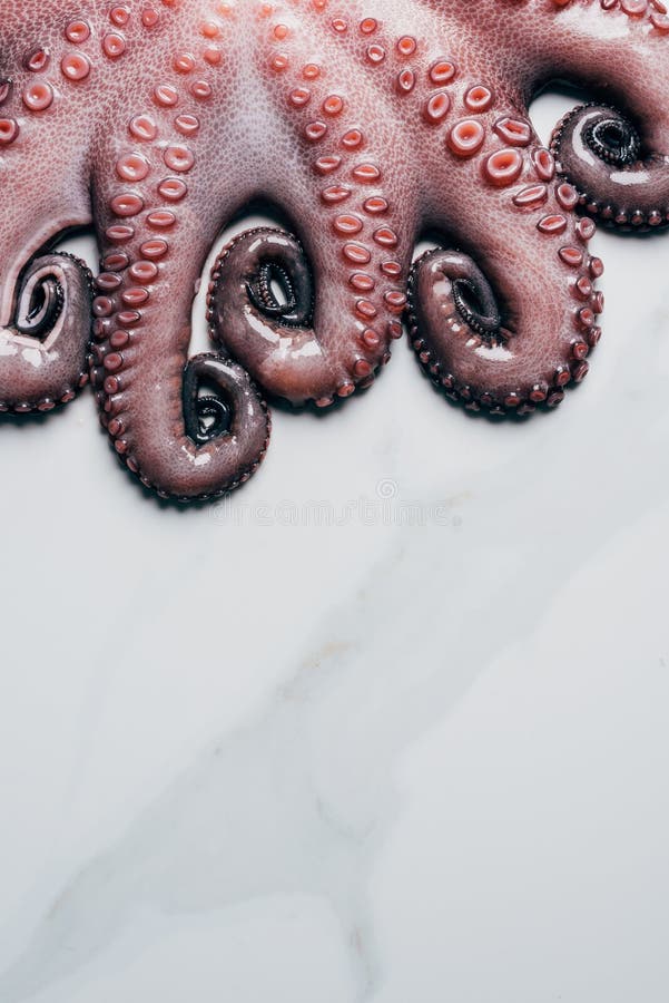 Top View of Tentacles of Big Fresh Octopus Stock Photo - Image of ...