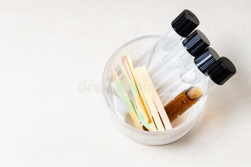 Top View of Test Tubes with Liquids and Solutions Stock Photo - Image ...
