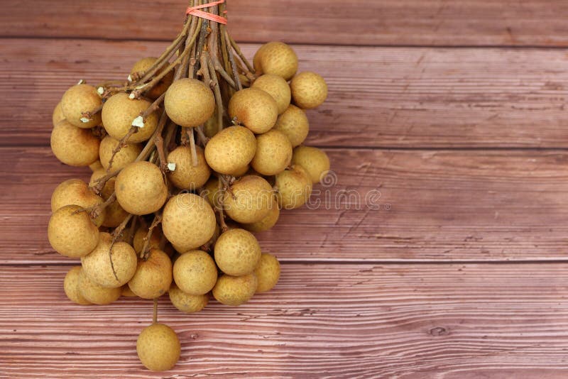Top View Thailand Fruit Fresh Longan Brown Fruit Popular Fruit Stock ...