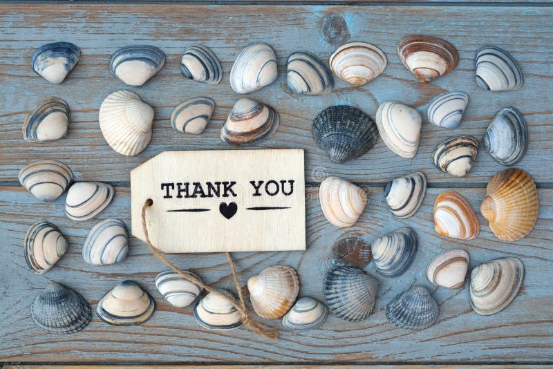 Top View of a Thank You Tag Surrounded by Shells on a Wooden Surface ...