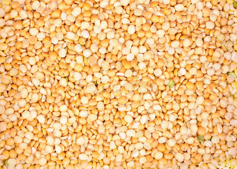 Top View of a Thick Layer of Yellow Dry Peas Stock Photo - Image of ...