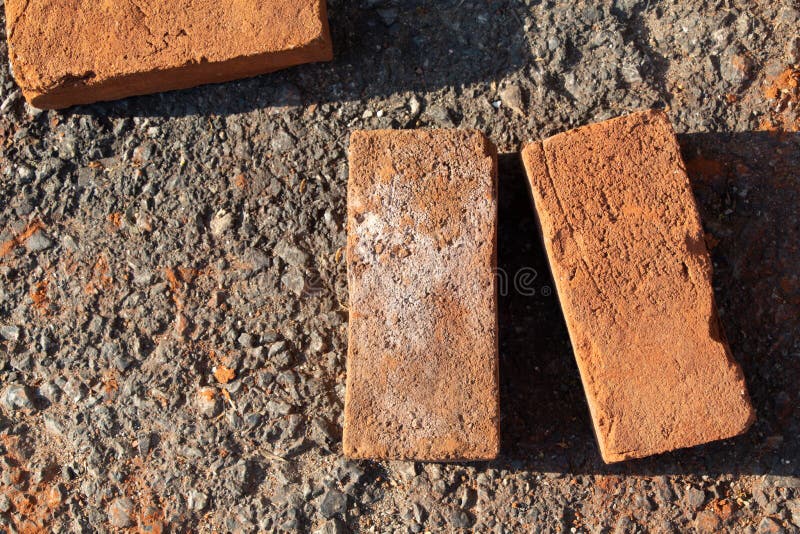 Bricks and Concrete Wall Texture Stock Image - Image of wall, covered ...