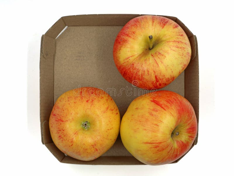 Top View of Three Red Apple Inside Cardboard Isolated on White ...