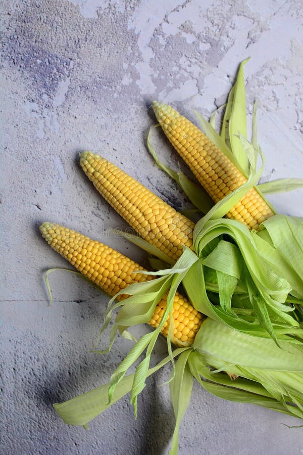 Ear Of Corn / Vertical / Isolated Stock Photo - Image of nutritious ...