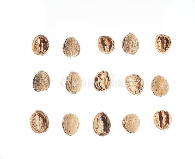 Top View of Three Rows and Five Columns of Walnuts or Parts of Walnut ...