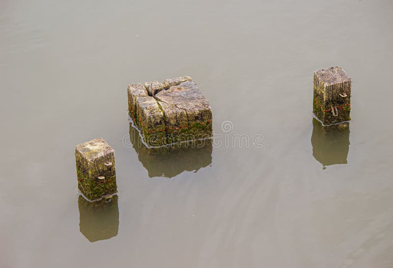 Top View of Three Stepping Stones in the Pond Stock Image - Image of ...