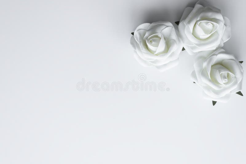 Top View of Three White Roses As a Decoration with Copy Space for ...