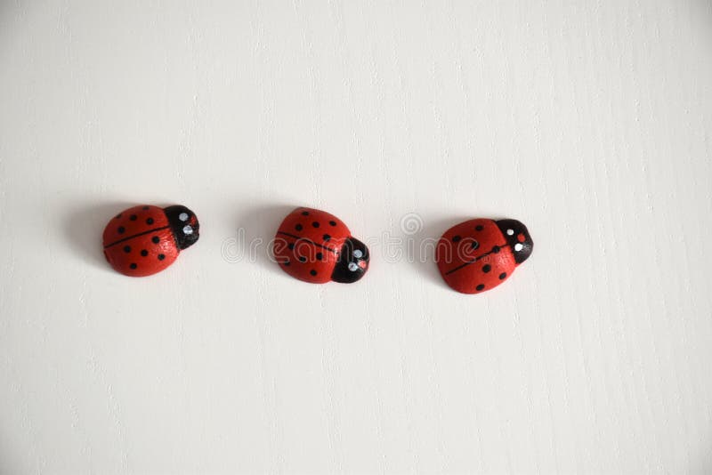 Top View of Threered Ladybugs on White Background with Wood Grain Stock ...