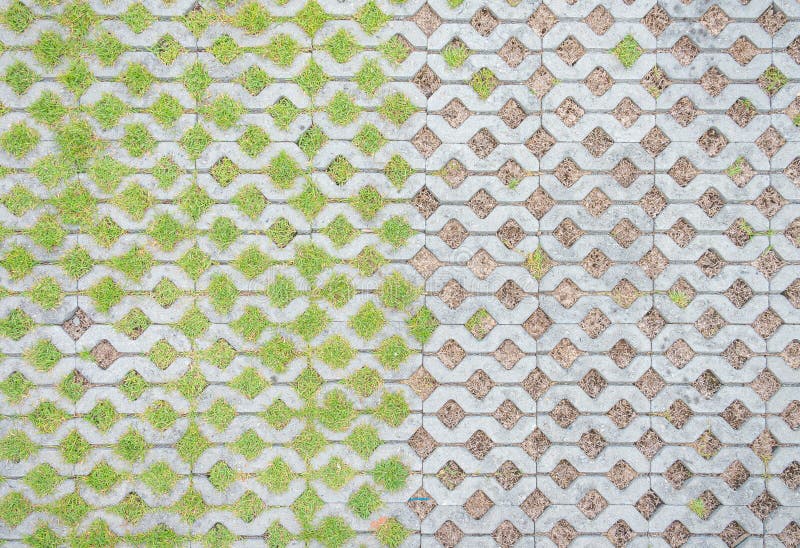 Top View Tiles with Green Grass Stock Photo - Image of closeup ...